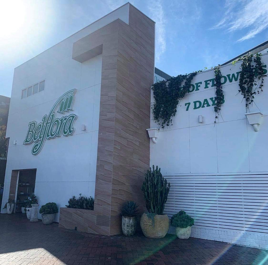 About Belflora | Newcastle Florist | Australia's Premiere since 1984 ...