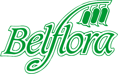 Belflora Flower Market | Newcastle's Largest Florist | (02) 4969 6622