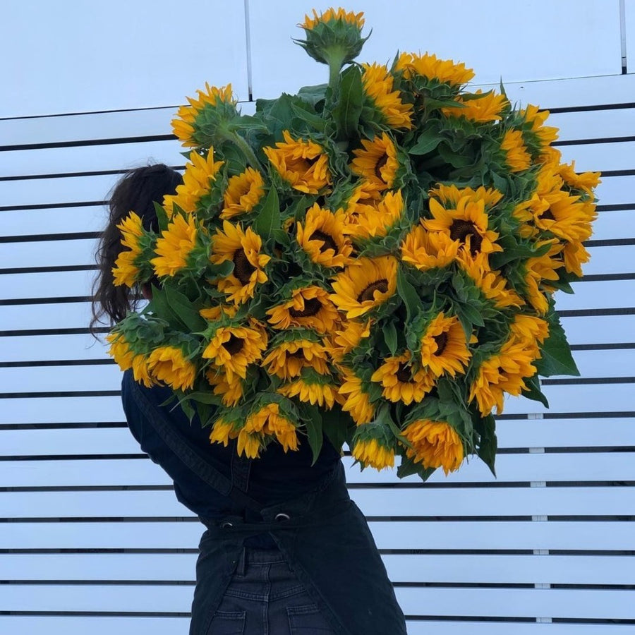 About Belflora | Newcastle Florist | Australia's Premiere since 1984 ...