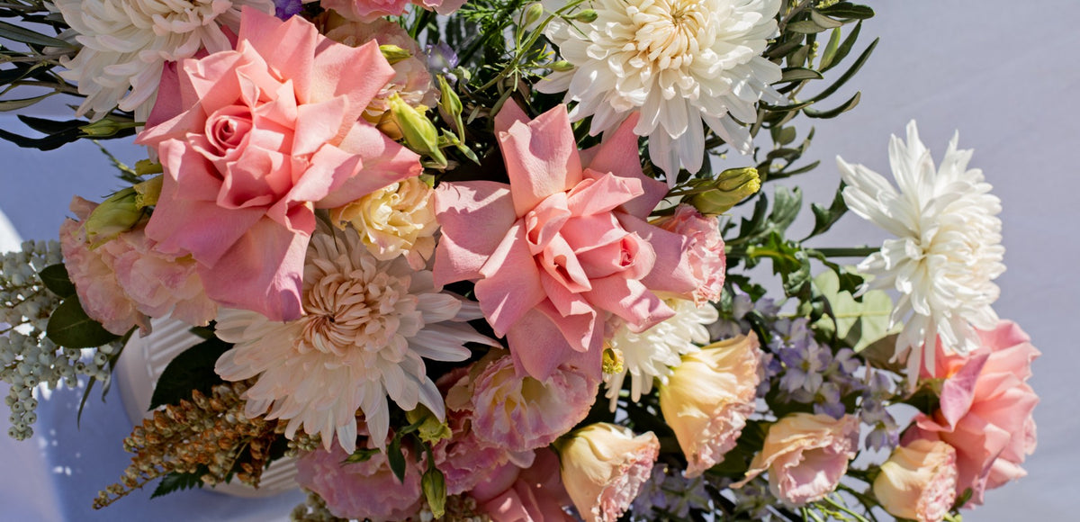 Contact Belflora | Newcastle's Favourite Florist | 02 4969 6622 ...