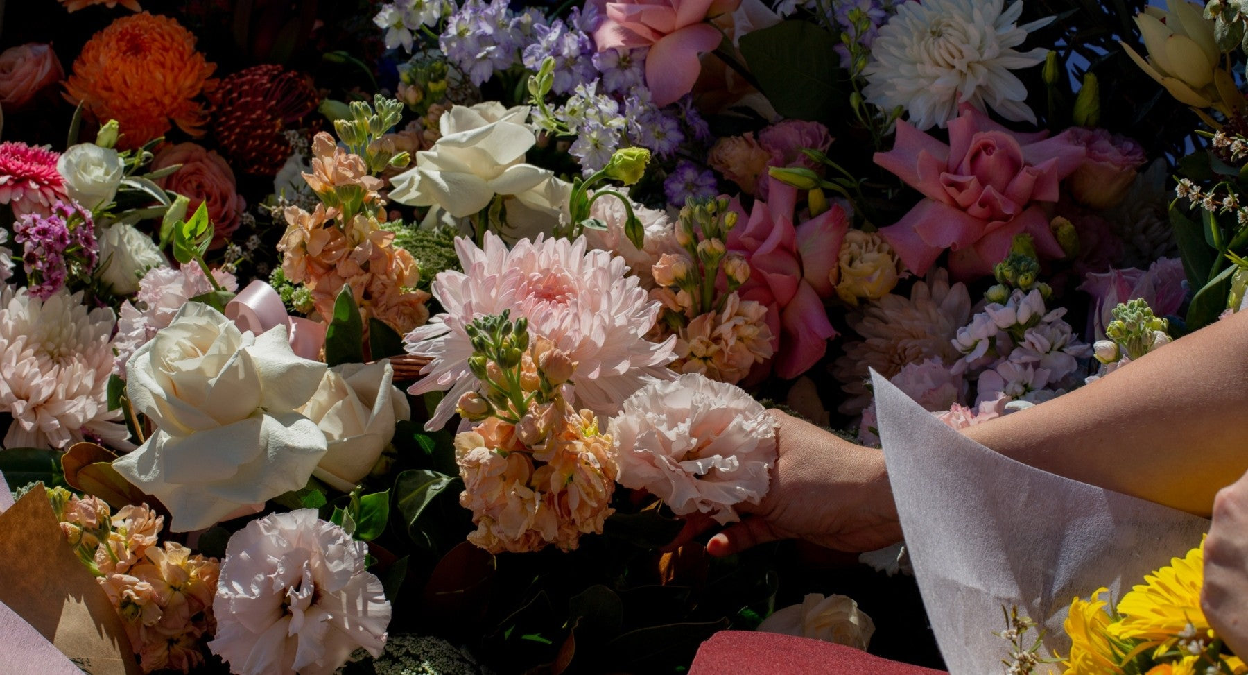 About Belflora | Newcastle Florist | Australia's Premiere since 1984 ...