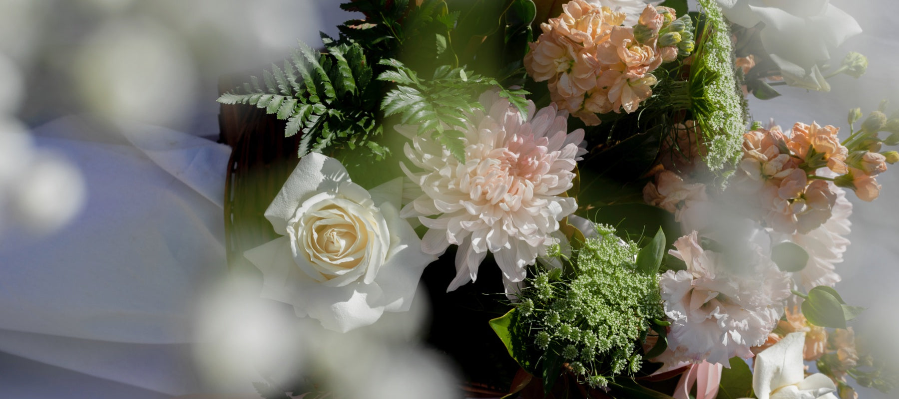 Collections – Belflora Flower Market