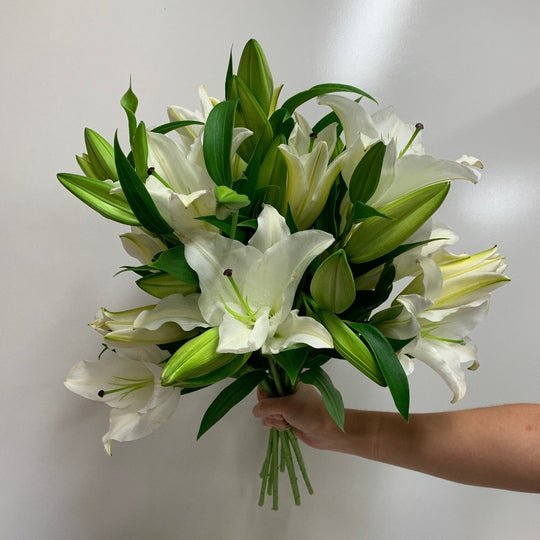 Products – Belflora Flower Market