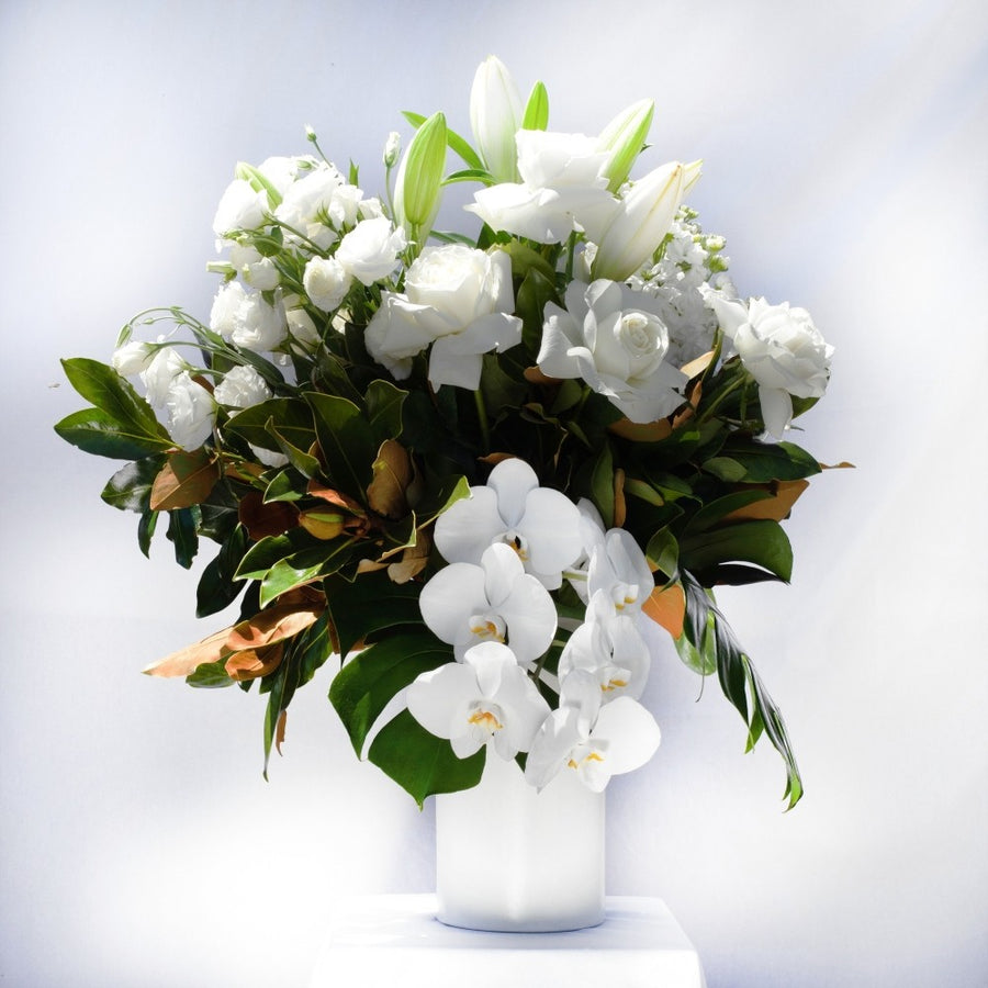 Collections – Belflora Flower Market